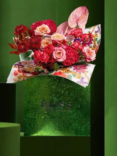 Products | Bliss UAE